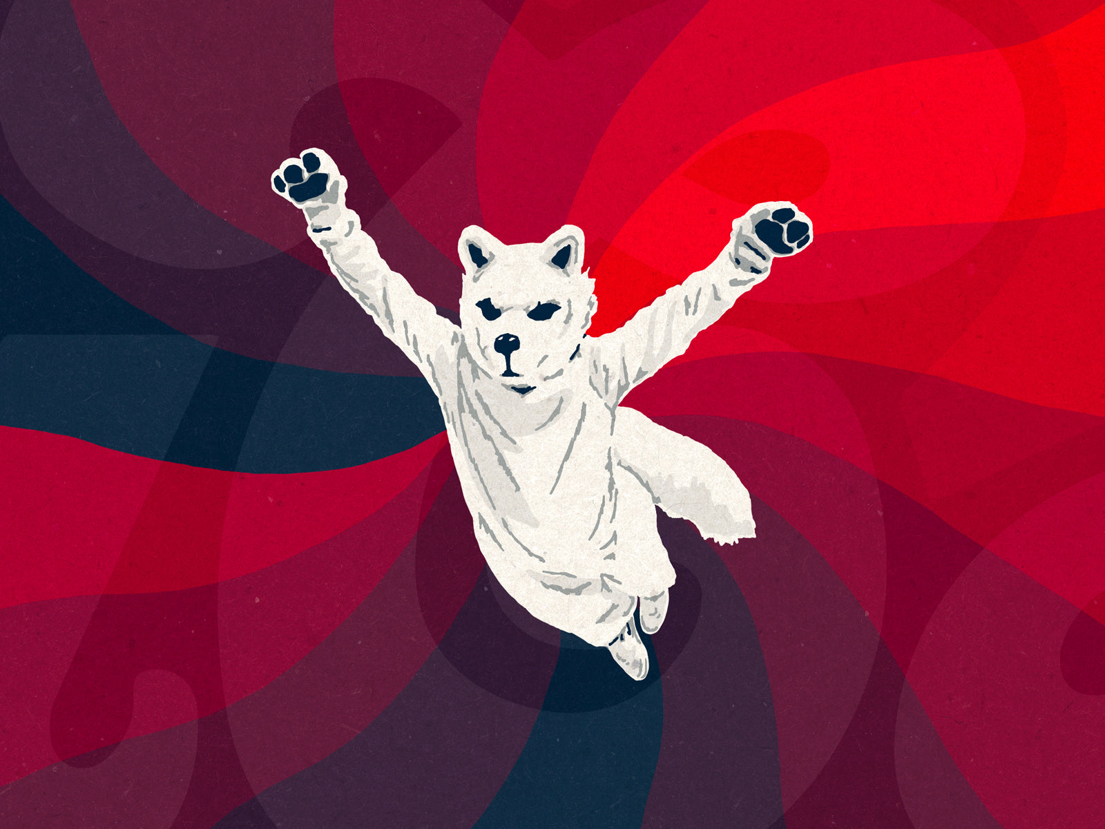 From Beloved to Banned: The History of the Iconic UConn Husky Slide ...
