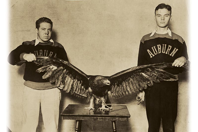 Why does Auburn say War Eagle when they are the Tigers – Homefield