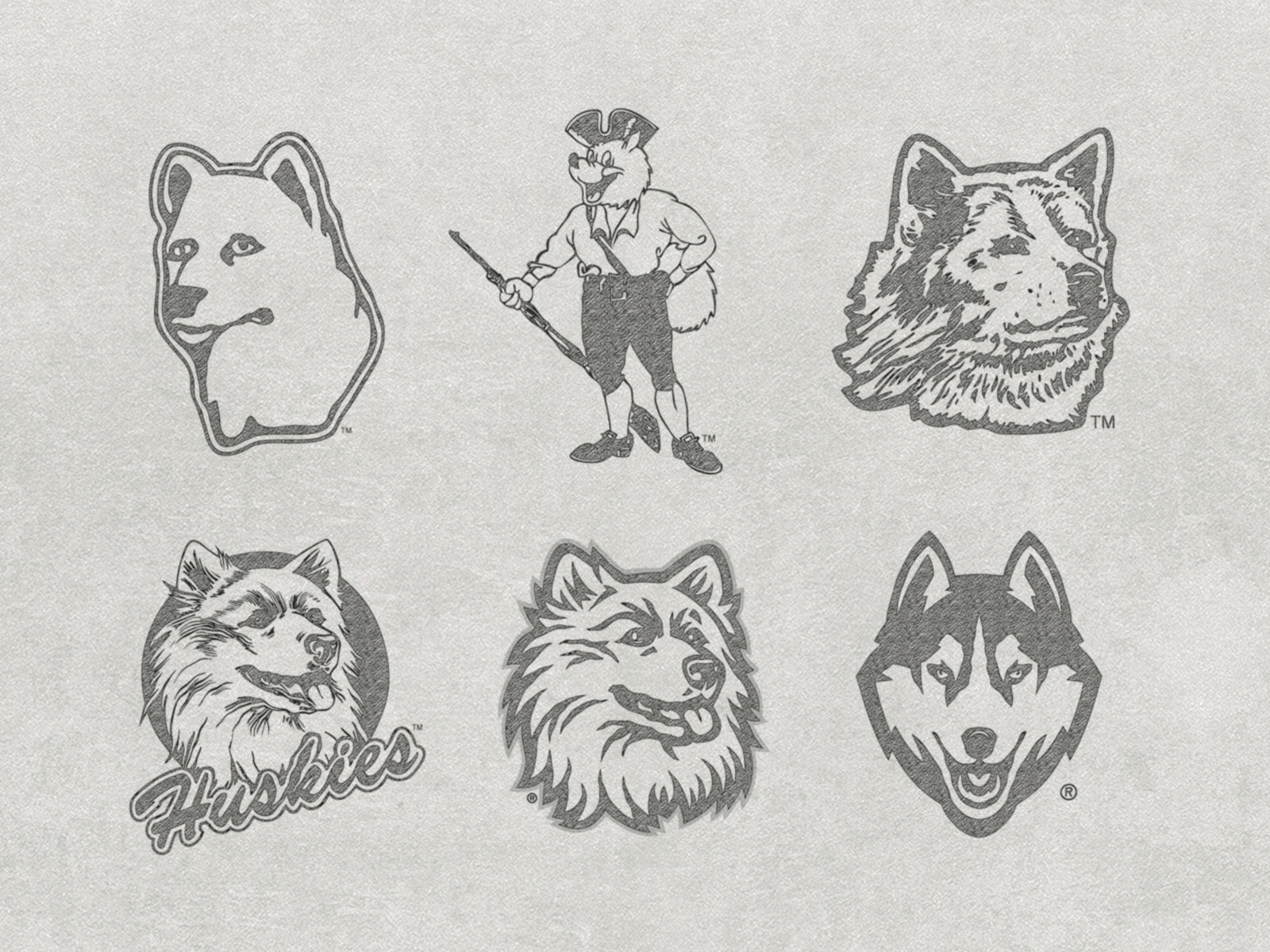 The incredible evolution of UConn's Husky logo – Homefield