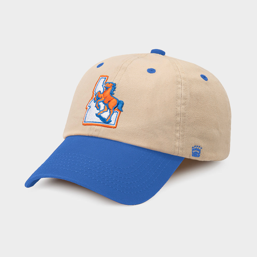 Boise State Broncos Retro Two-Tone Dad Hat | Homefield