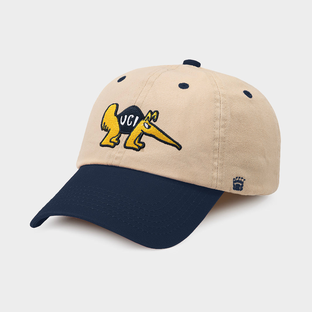 UC Irvine Anteaters Two-Tone Dad Hat | Homefield