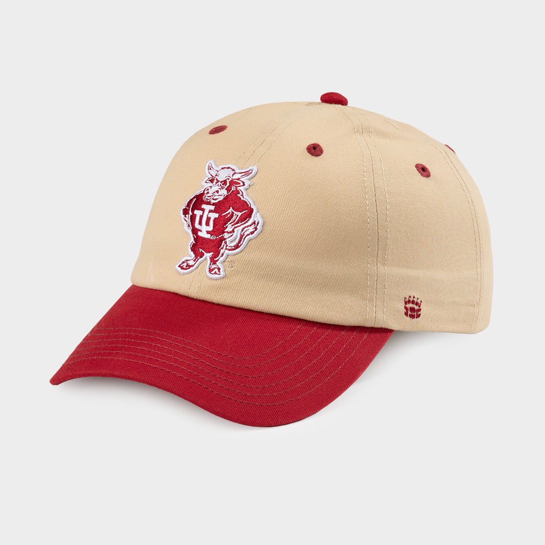 IU Vintage Bison Two-Tone Dad Hat | Homefield
