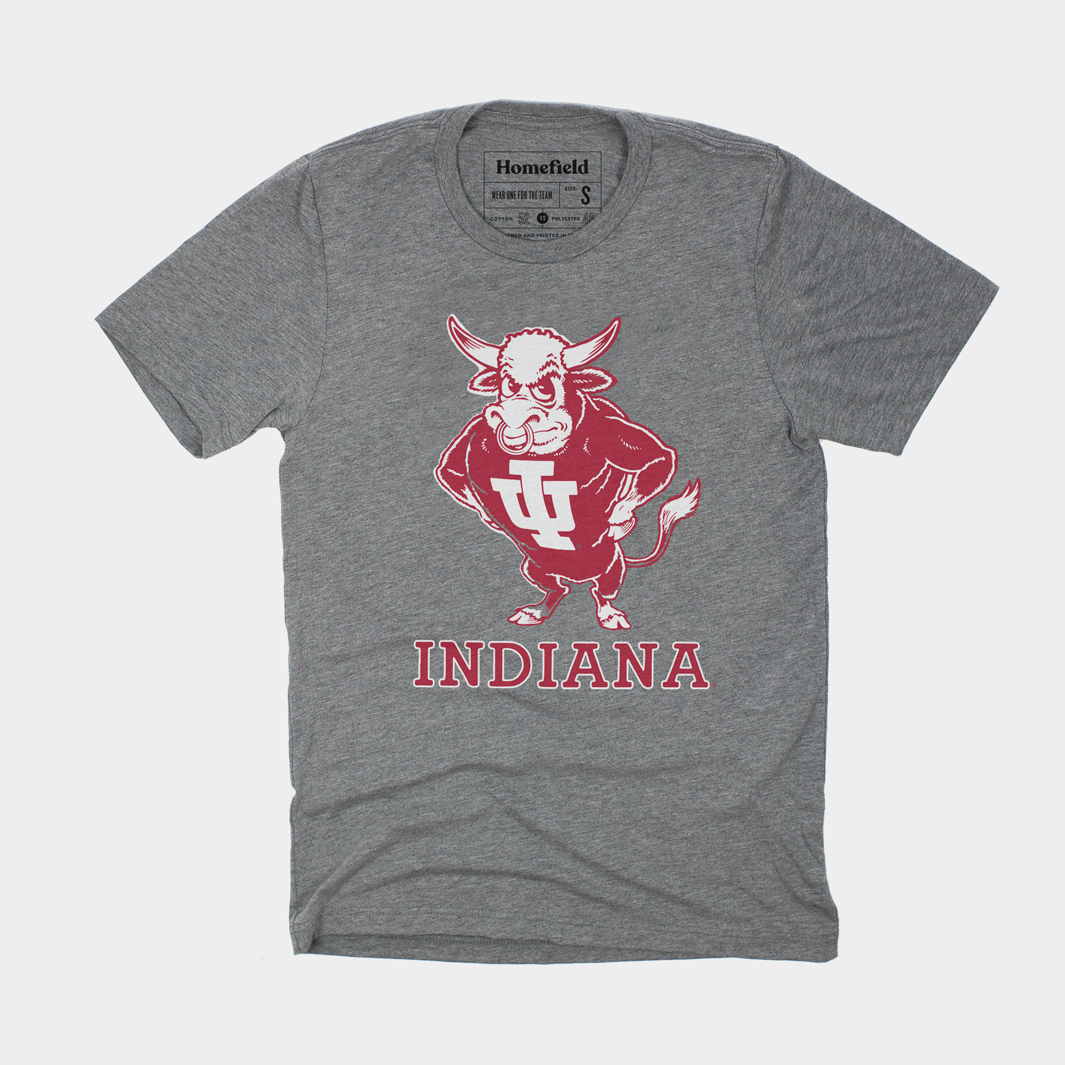 Vintage IU Bison Tee | Homefield