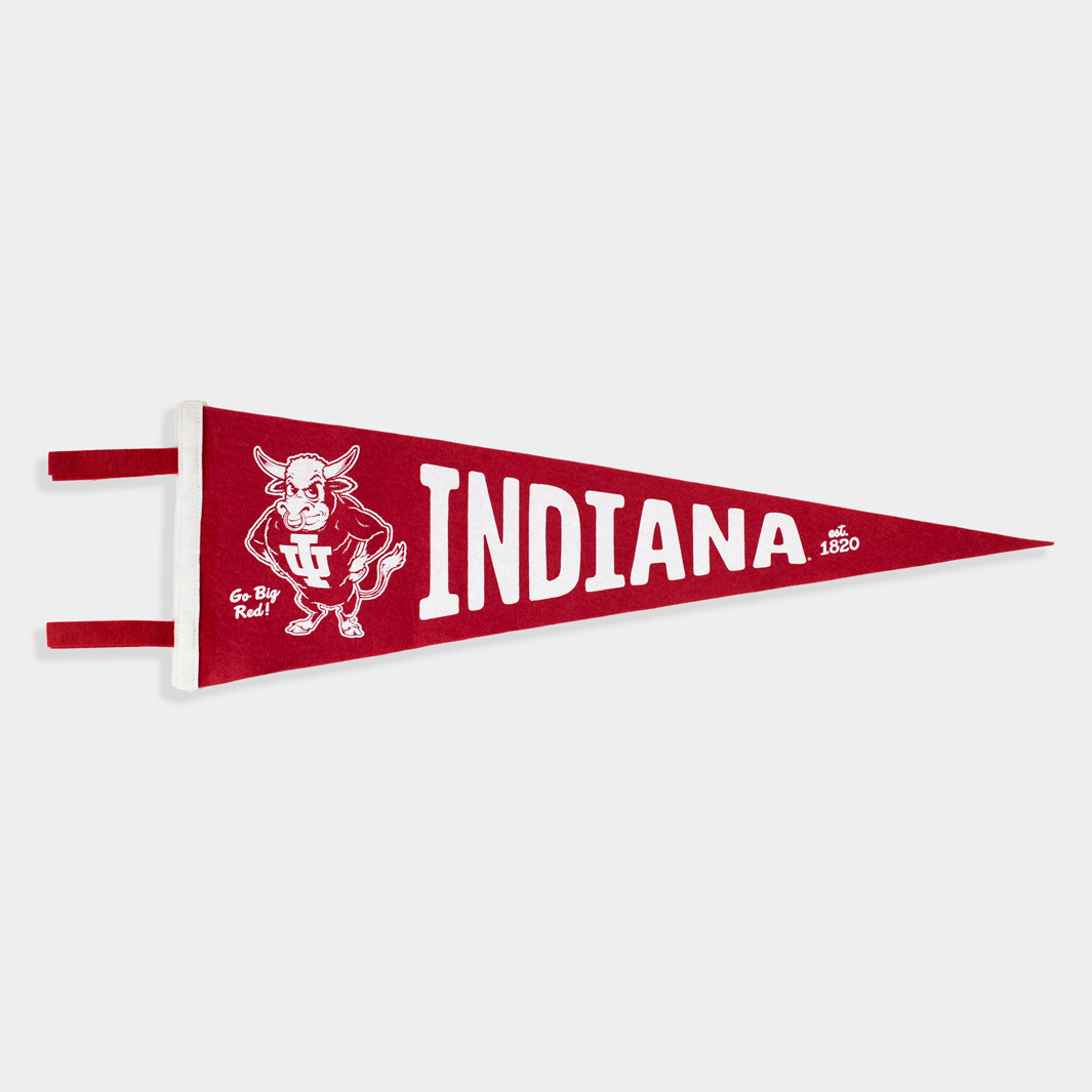 IU Bison Felt Pennant | Homefield