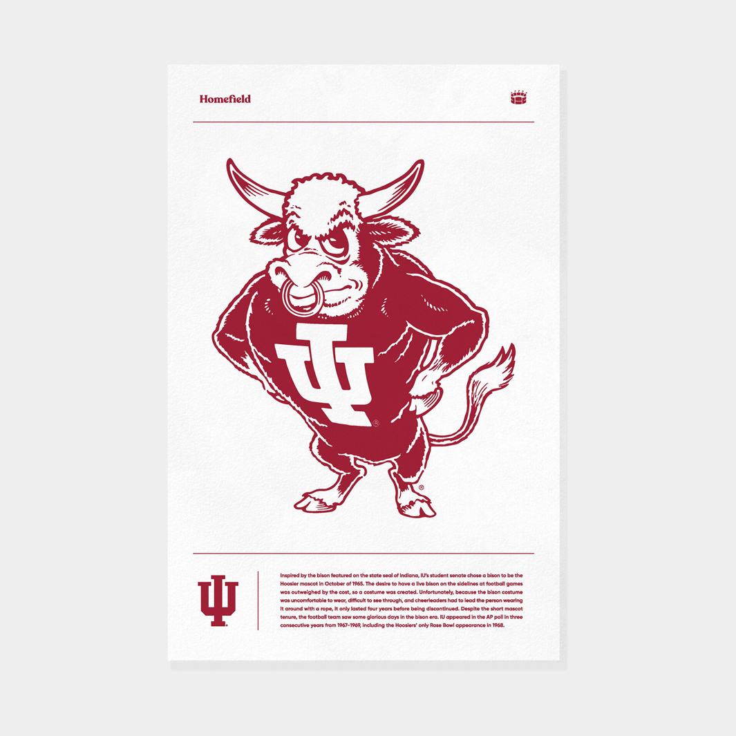 IU Bison Print – Homefield
